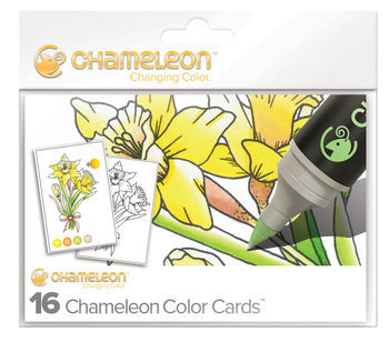 Flower Color Cards - Chameleon Pens Australia